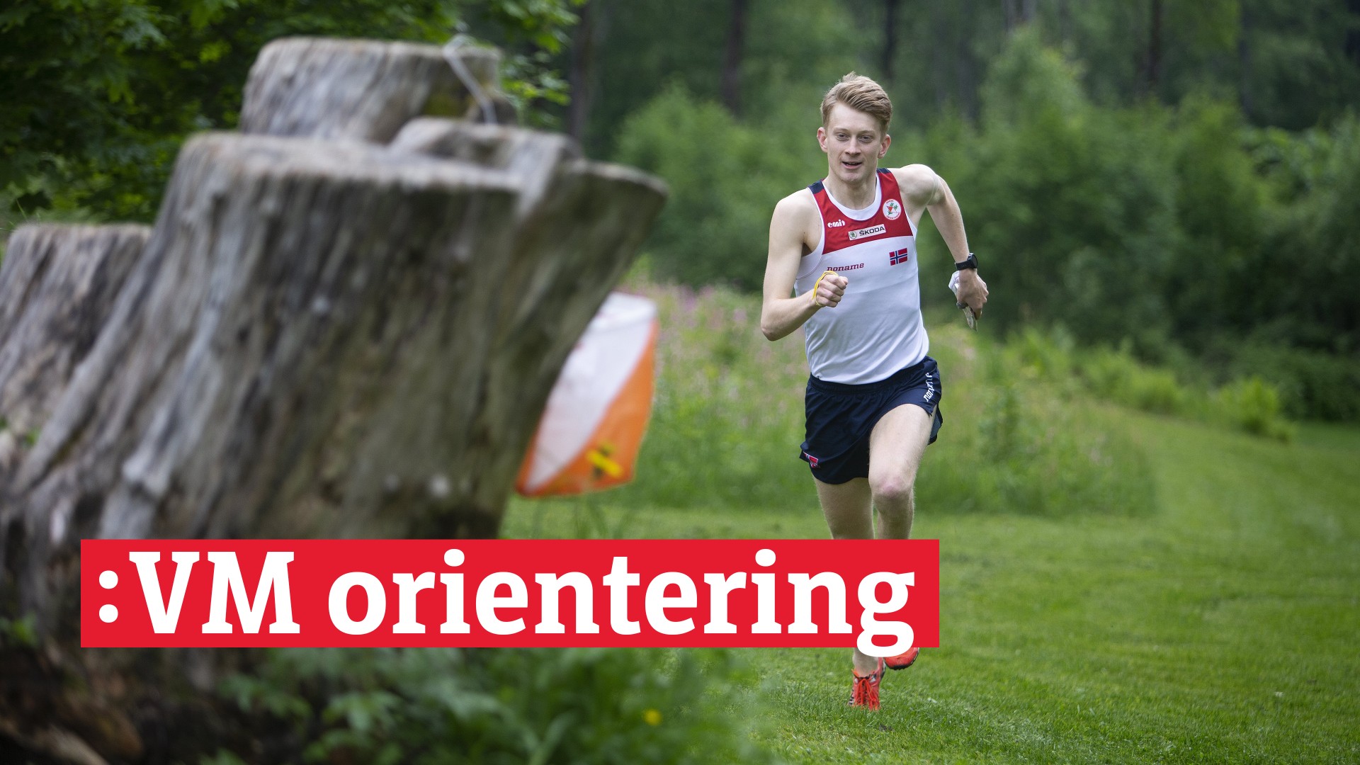 Orientering - NRK TV