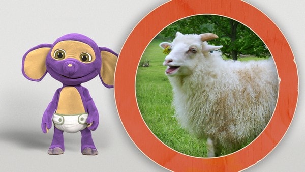 NRK Super - Fantus ja eallit