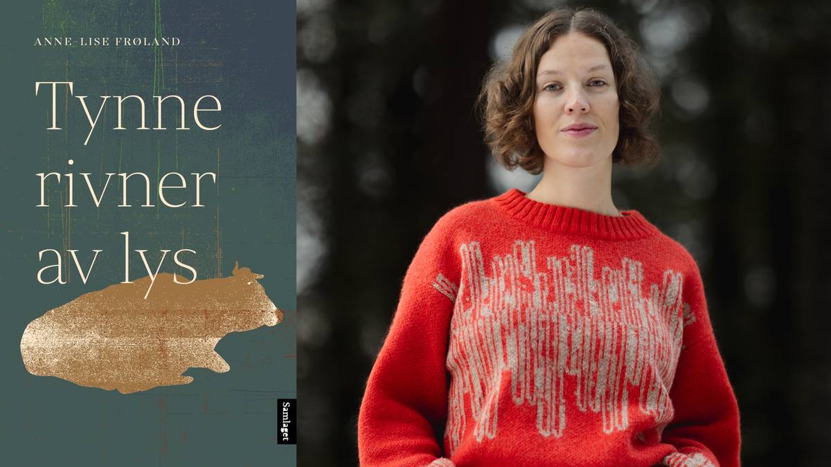 Anmeldelse: «Tynne rivner av lys» av Anne-Lise Frøland – NRK Kultur og ...