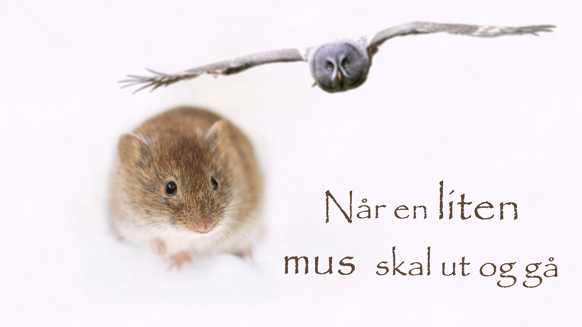 Når en liten mus skal ut og gå - NRK TV