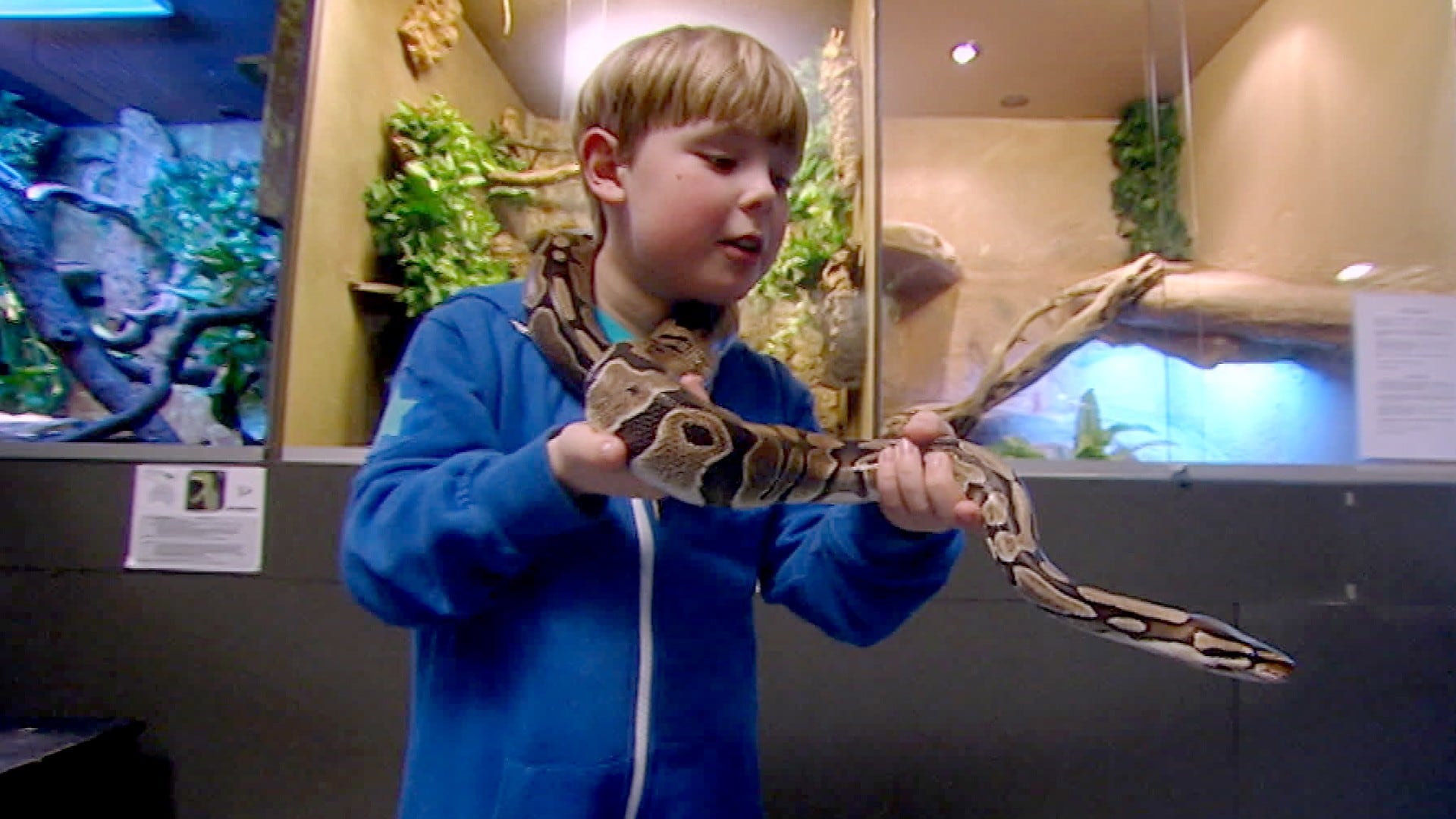 Barnas supershow - NRK TV