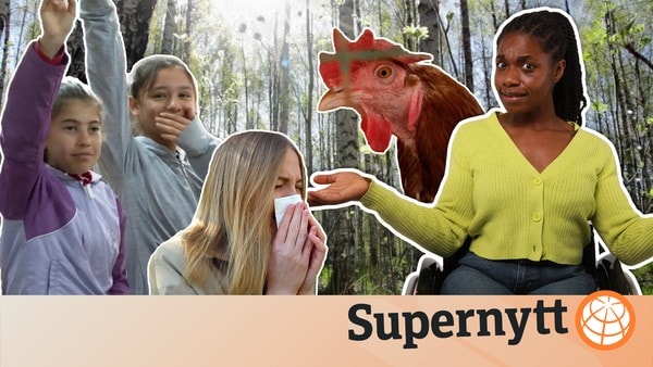 NRK Super - Supernytt