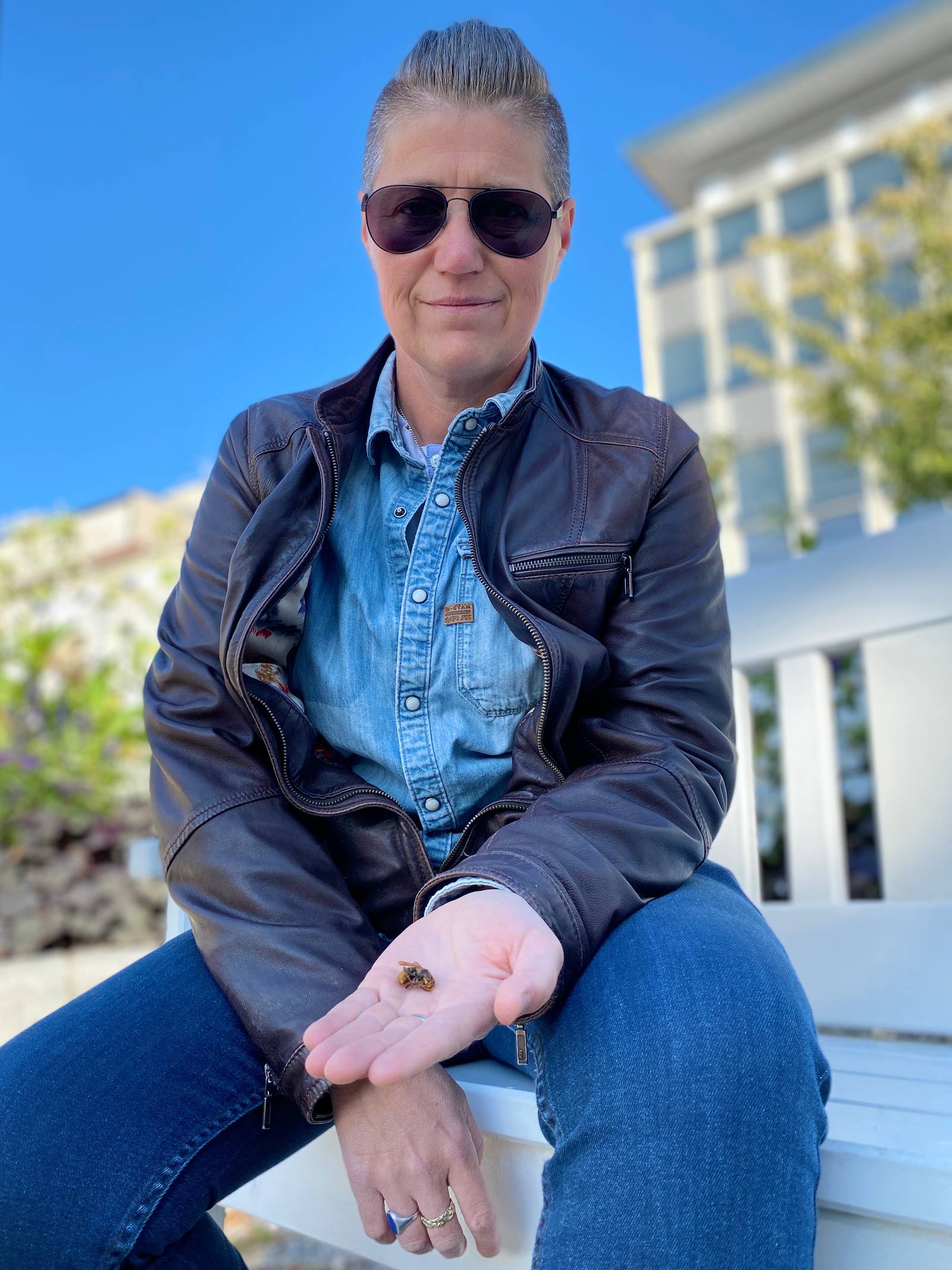 Kjempevepsen Geithams brer om seg og kan bli fjernet fra rødlista over ...