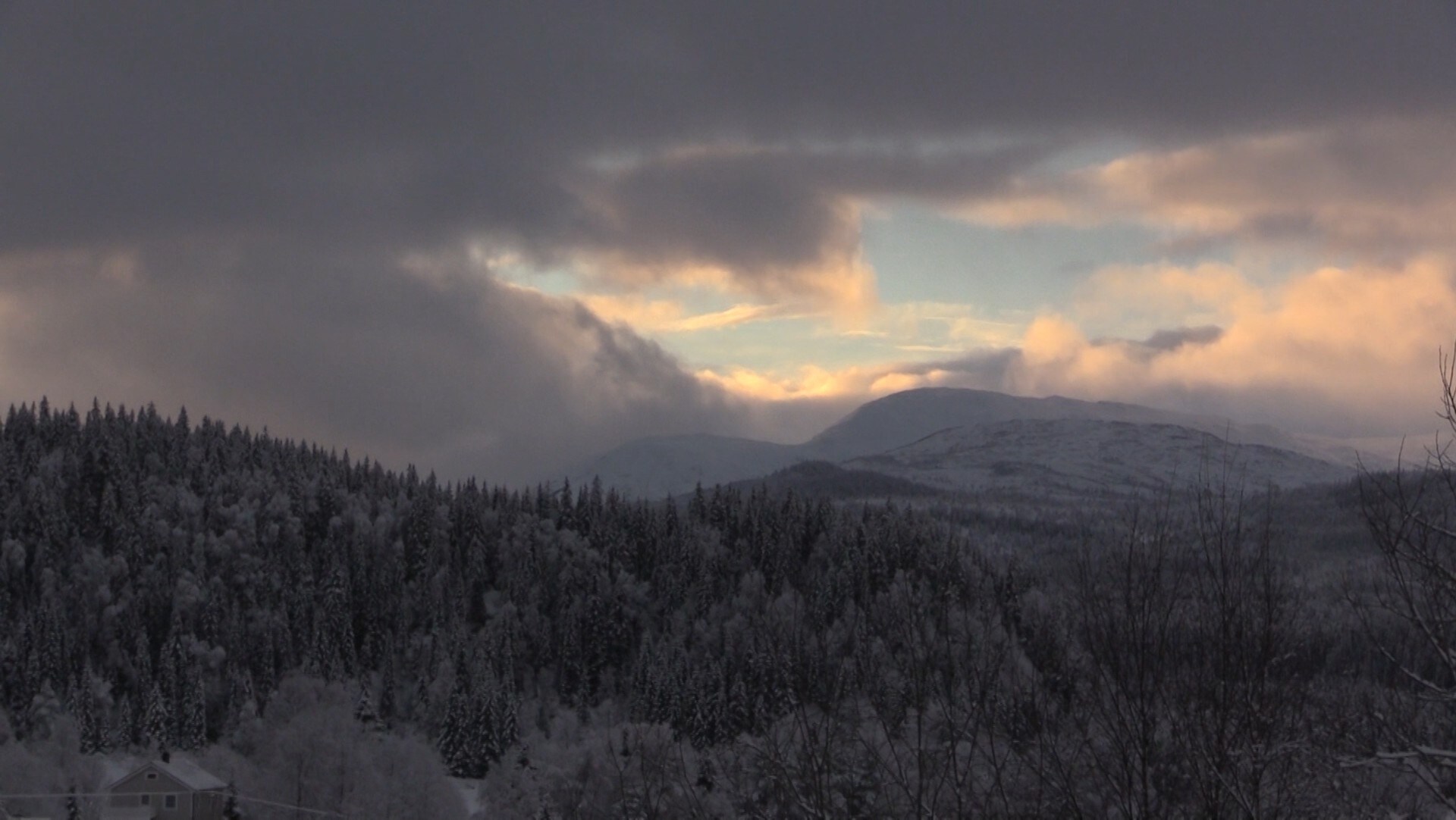 TROFORS-NETT-081216-SN – NRK