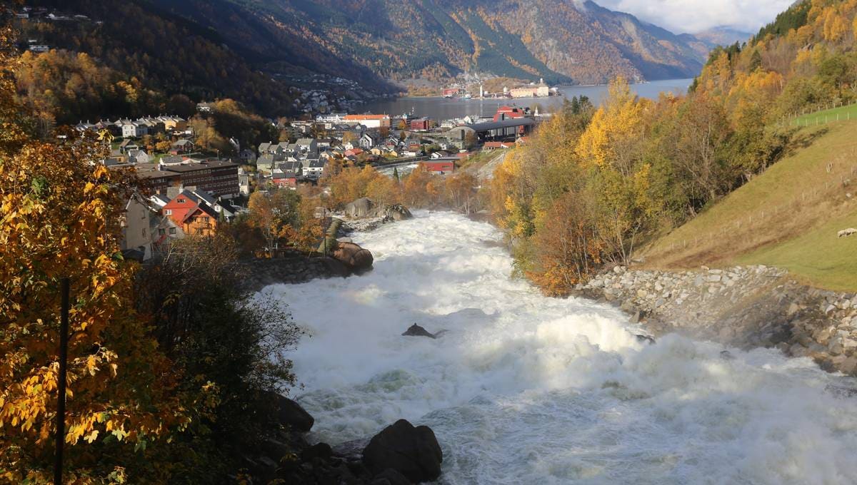 Dropper kraftverk i vernet elv: – Vi er vanvittig glade – NRK Vestland
