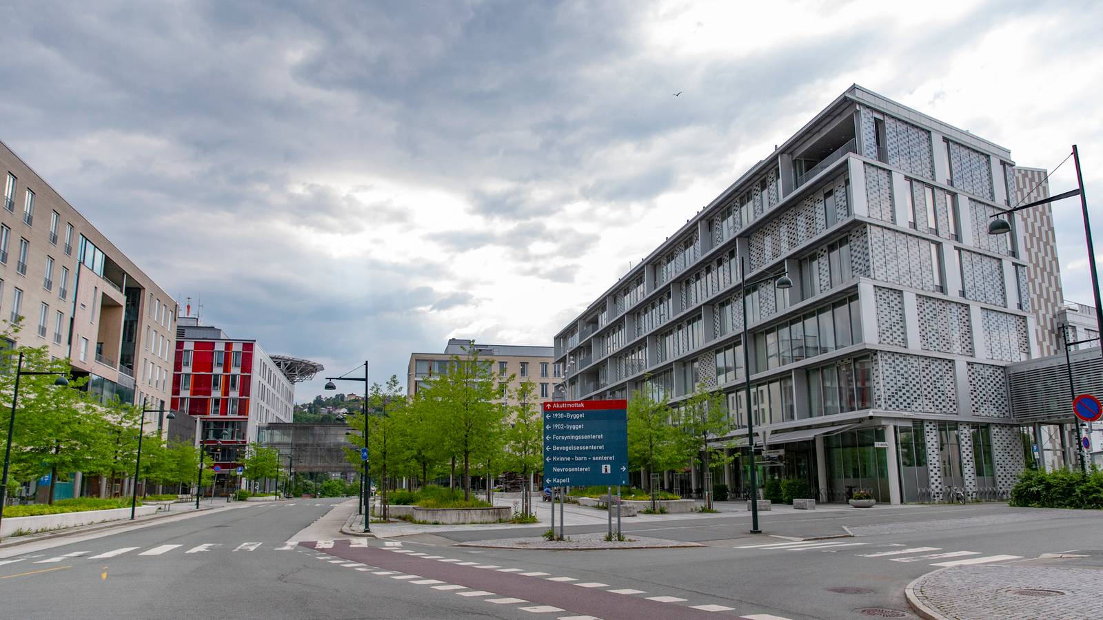 Observasjon av insekter ved St. Olavs hospital: Tre operasjonsstuer ...