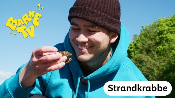 NRK Super - Barne-TV