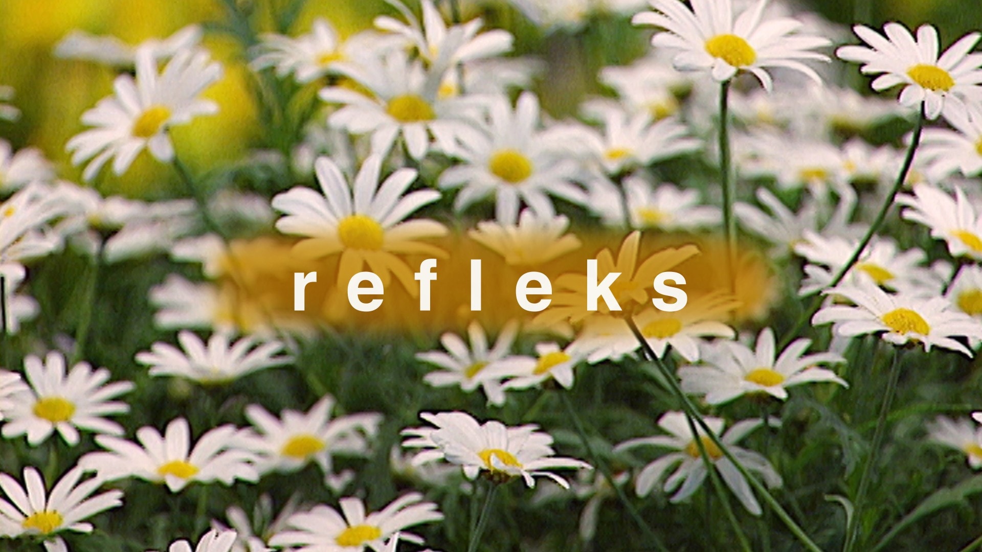 Refleks - Hage - NRK TV