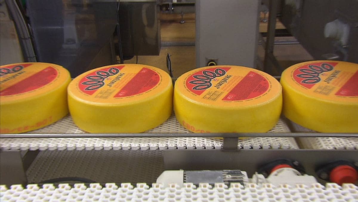 Tine bygger meieri i Irland for å lage ost – NRK Trøndelag – Lokale ...