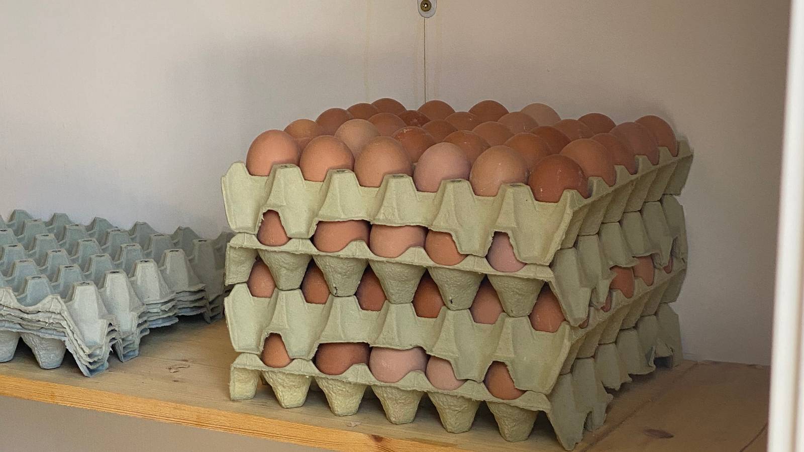Norge flommer over av egg: Nå har vi billigere egg enn Polen – NRK ...
