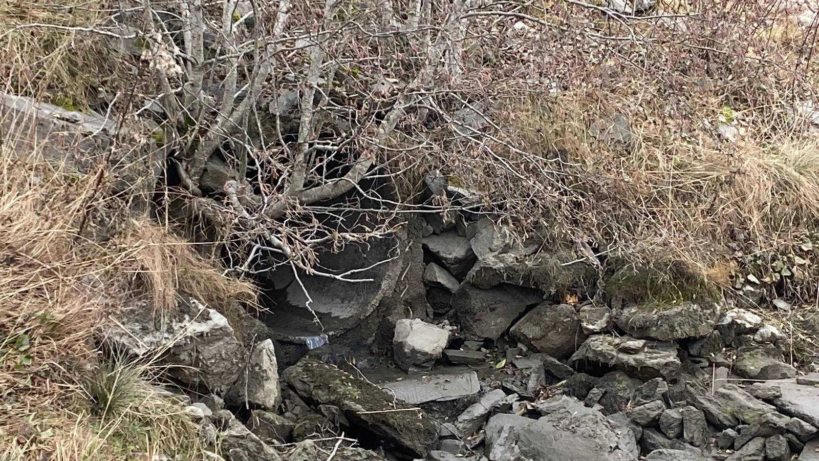 Rykker ut til oljesøl i Nidelva i Trondheim – NRK Trøndelag – Lokale ...