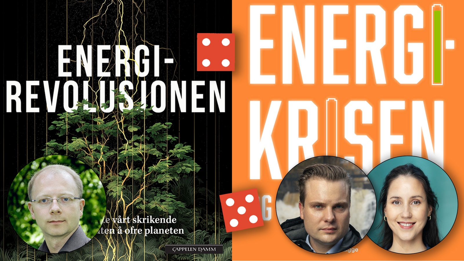 Anmeldelse: «Wanda. En familie­historie» av Anders Heger – Anmeldelser ...