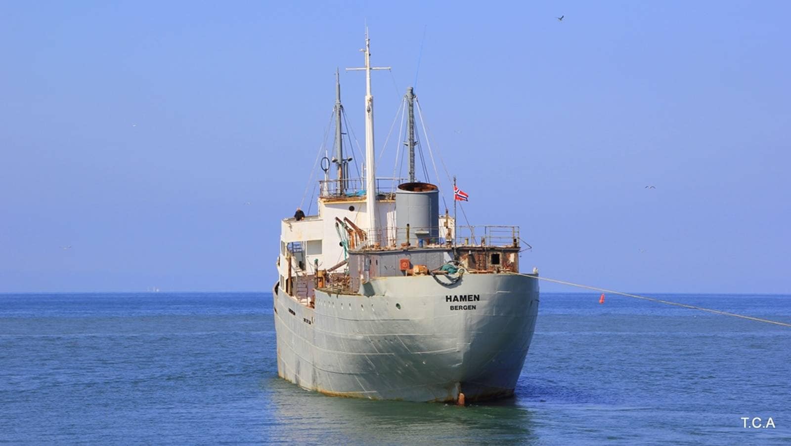 Hamen forlot Danmark – NRK Østfold – Lokale nyheter, TV og radio