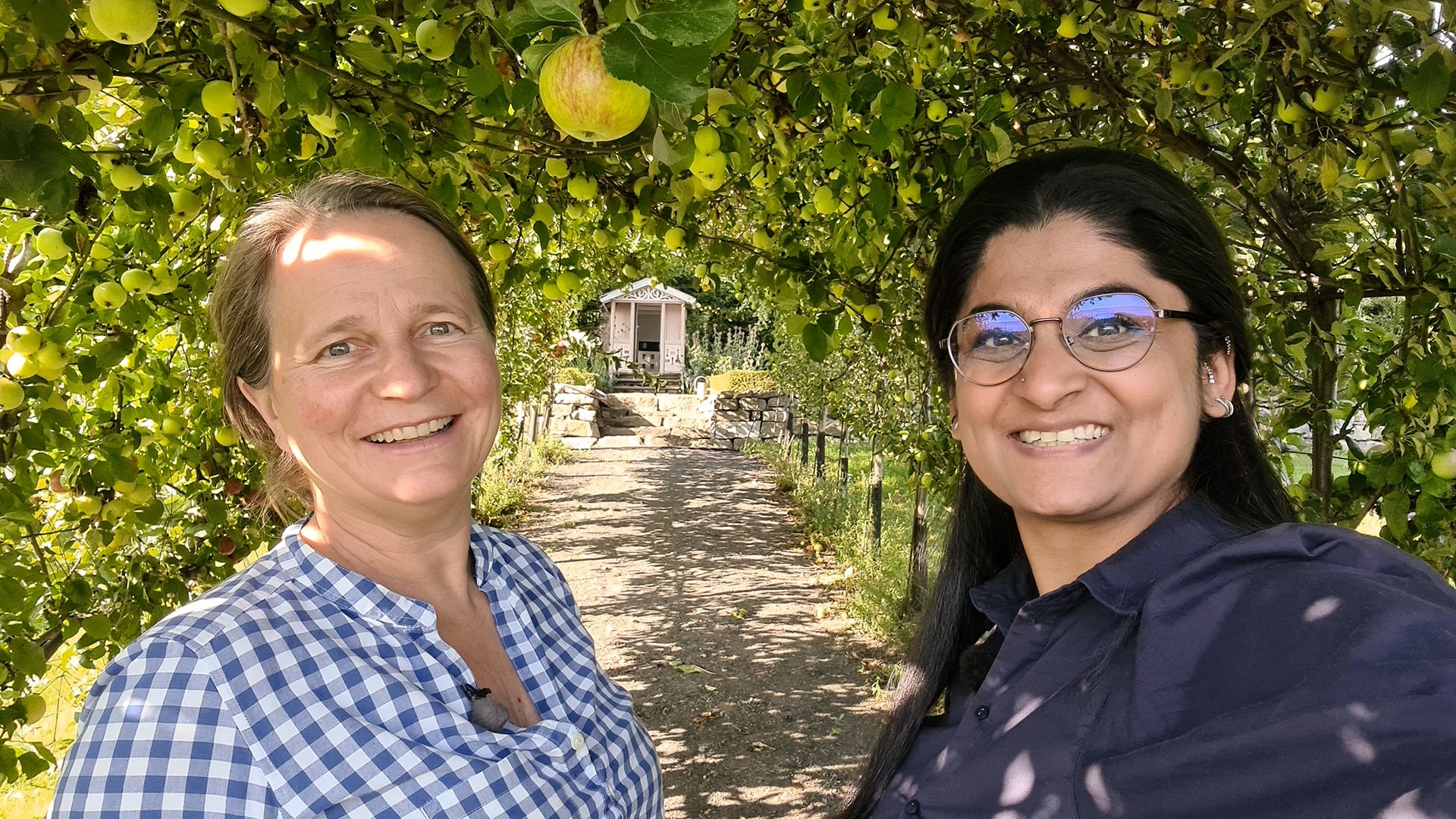 Norge Rundt - NRK TV