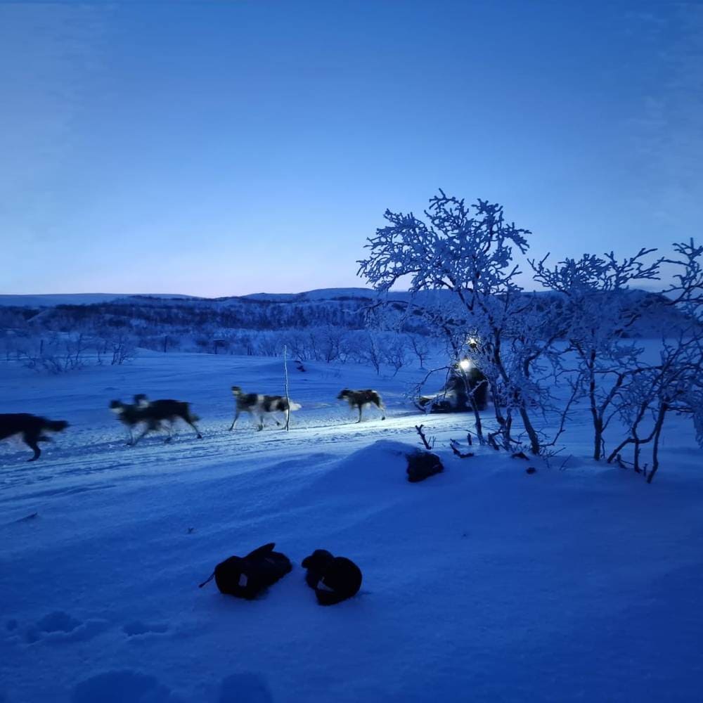 Petter Karlsson cruiset inn som verdensmester i Finnmarksløpet – NRK ...