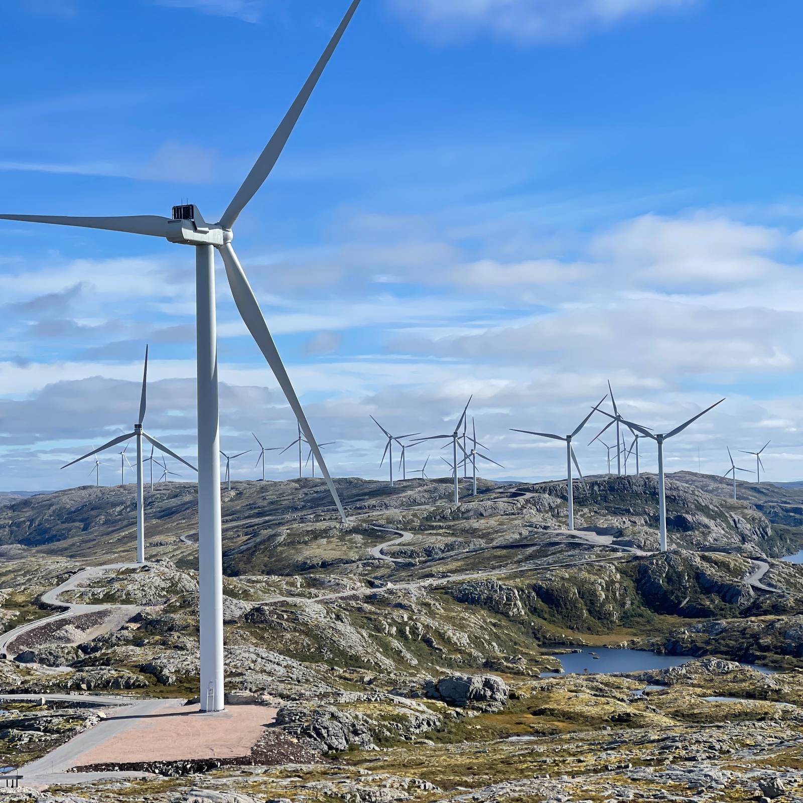 Vindkraftselskapet Fenix Repower ser på utbygging av mer vindkraft på ...