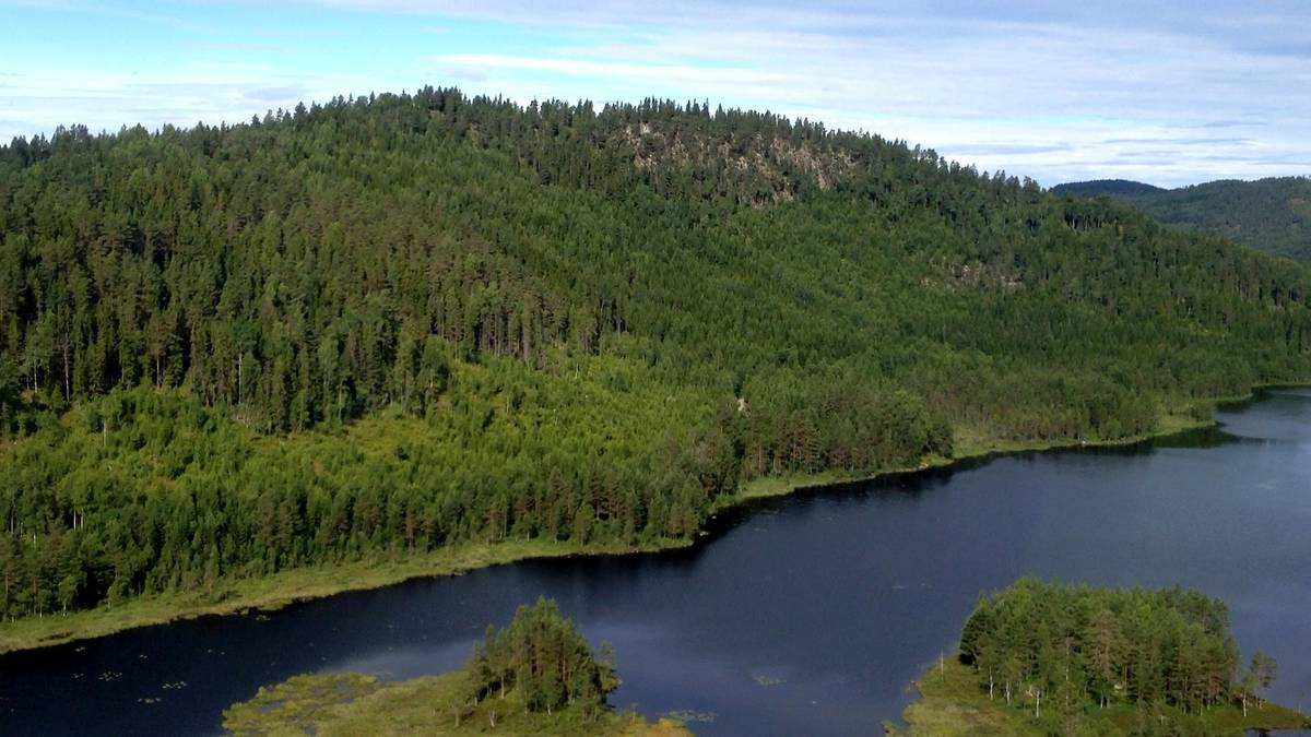 Småaksjonærer krever granskning av Begna Bruk – NRK Innlandet – Lokale ...