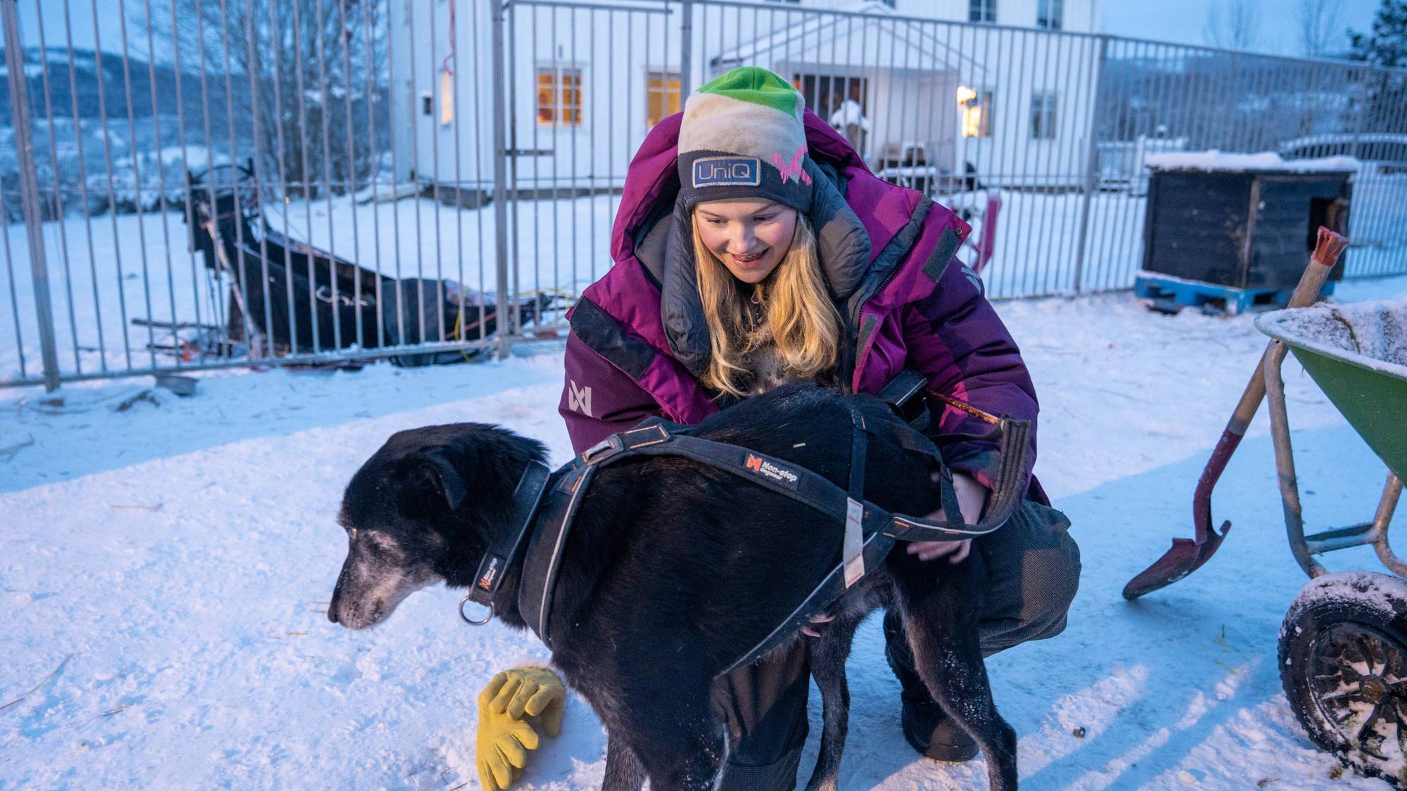 Ylva-Li og Ronja Næss fra Meråker reiser til Alaska for hundekjøring ...