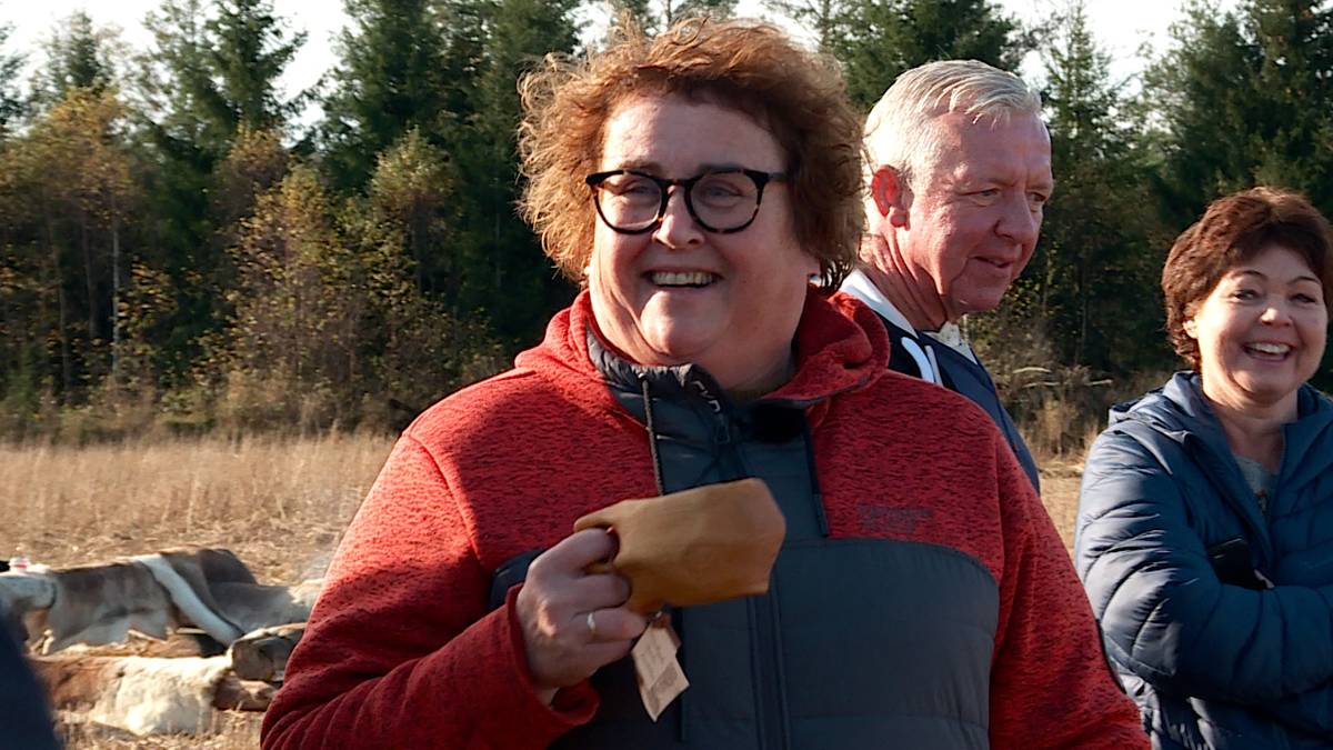 Bollestad på topp – NRK Rogaland – Lokale nyheter, TV og radio