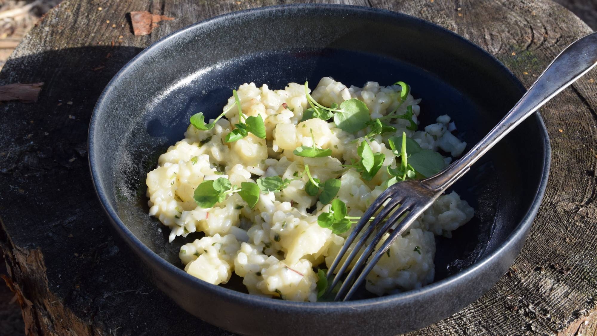 Hørt om kassava-risotto? – NRK Mat – Oppskrifter og inspirasjon