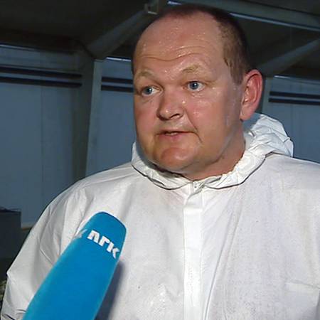 Tester kyllingfôr uten omstridt stoff – NRK Trøndelag – Lokale nyheter ...