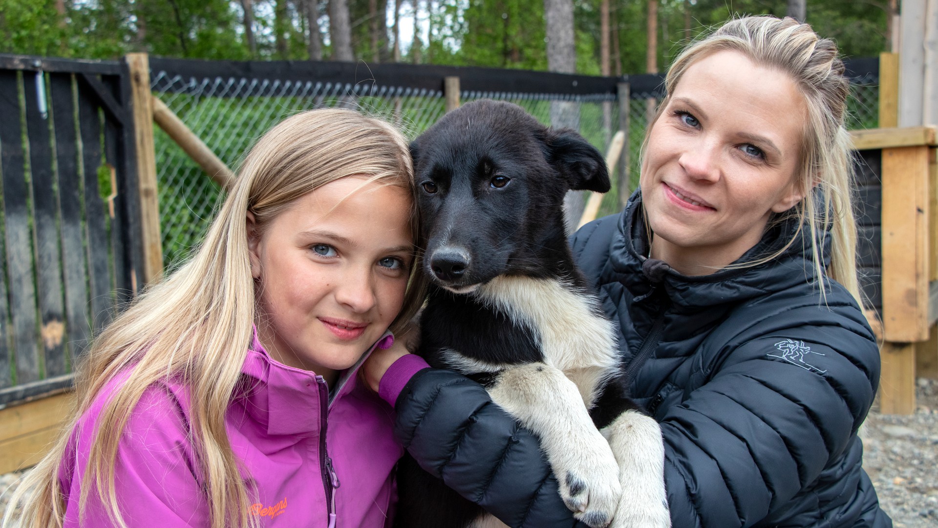 Bli med heim - NRK TV