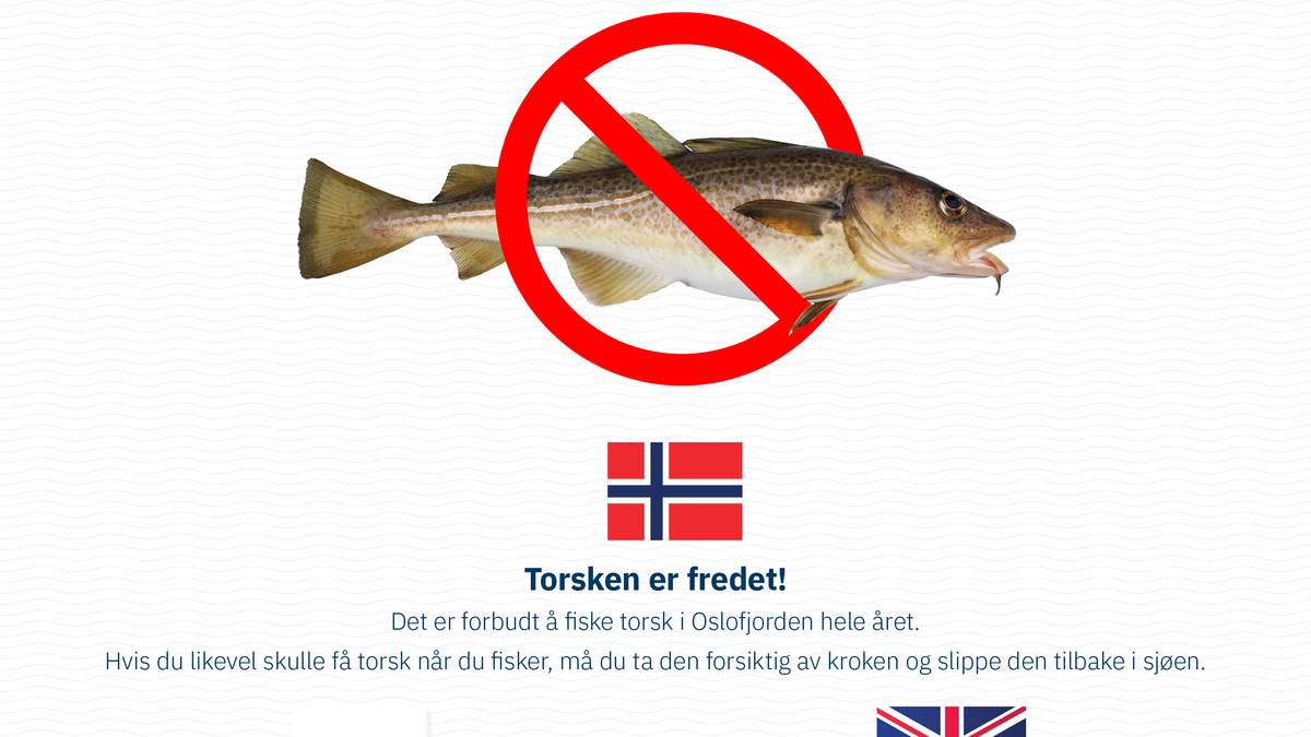 Forbudt å fiske i dag – NRK Vestfold og Telemark – Lokale nyheter, TV ...