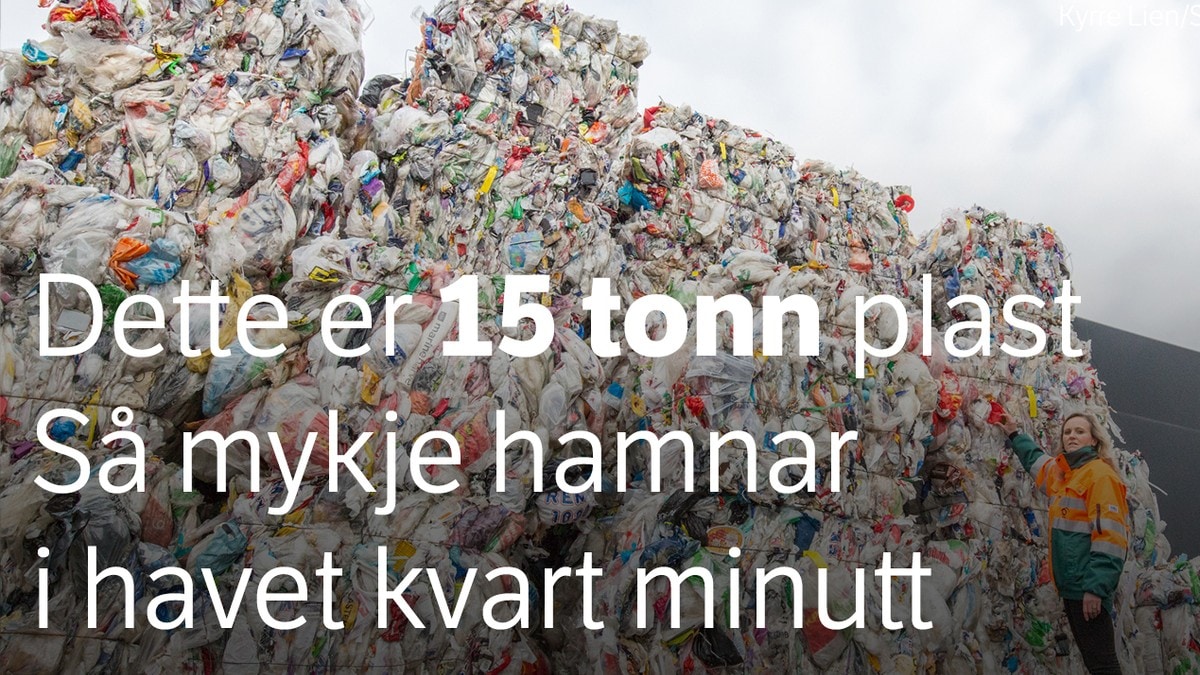 Eit evig hav av plast – Natur
