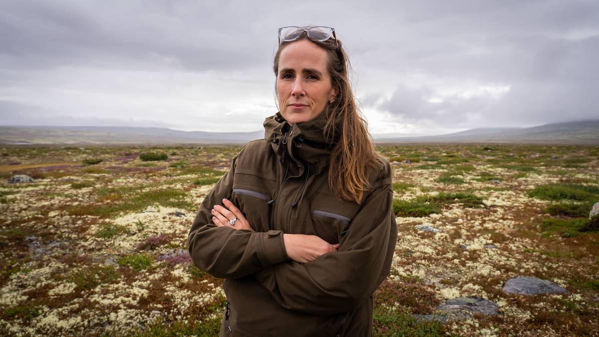 Sloss mot vindmøller i Rendalen – NRK Innlandet – Lokale nyheter, TV og ...