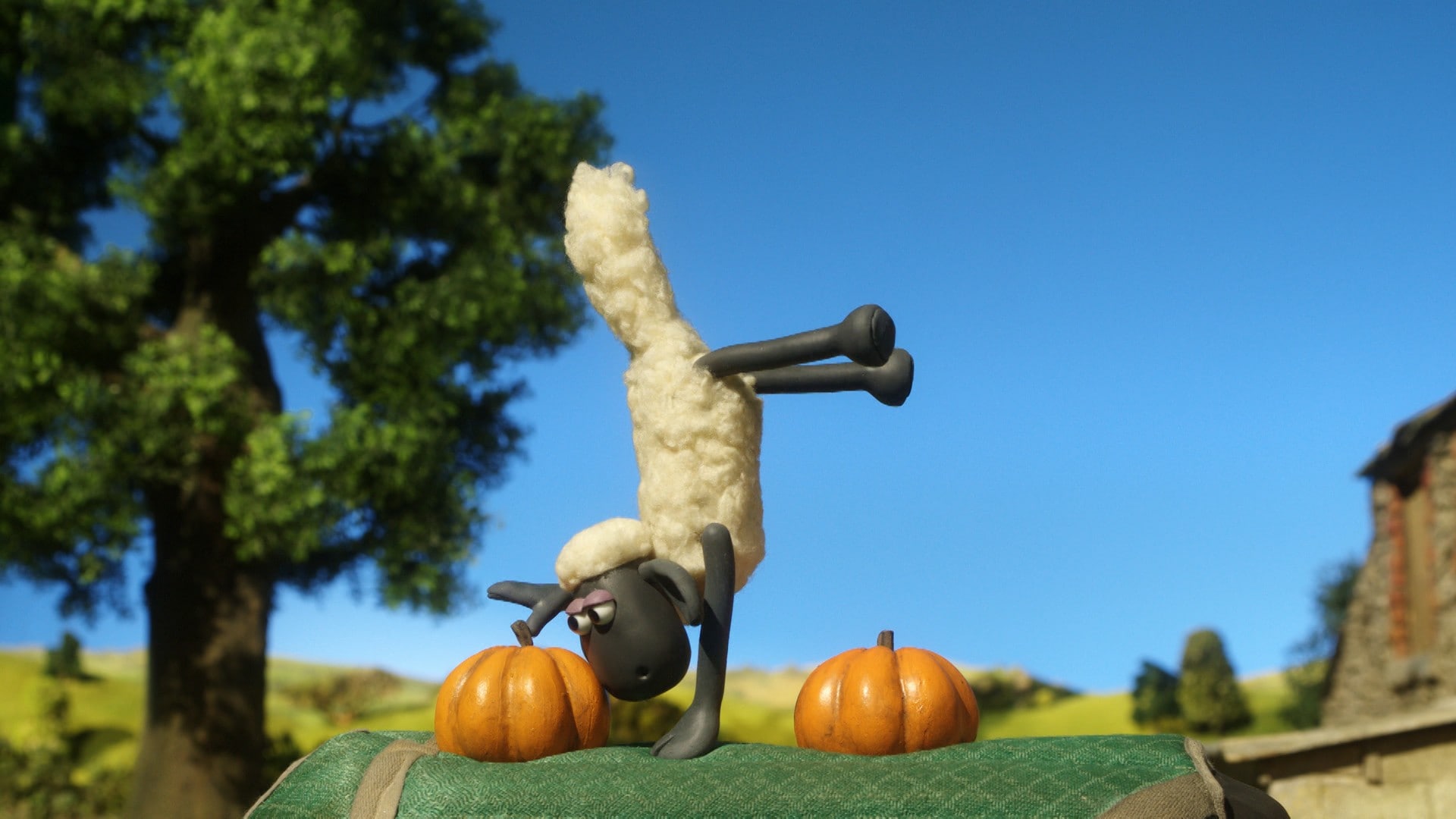 Sauen Shaun - NRK TV