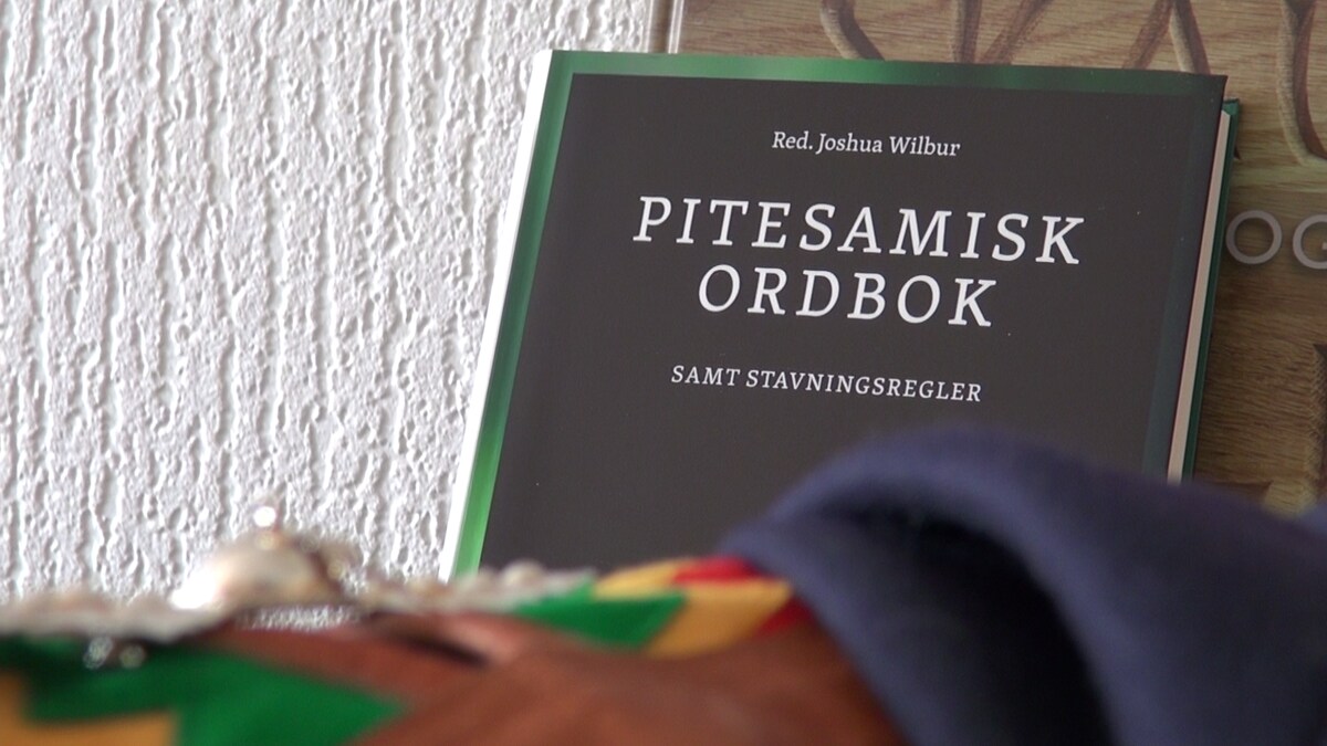 Hva skal man gjøre med pitesamisken? – NRK Sápmi – Ođasguovddáš