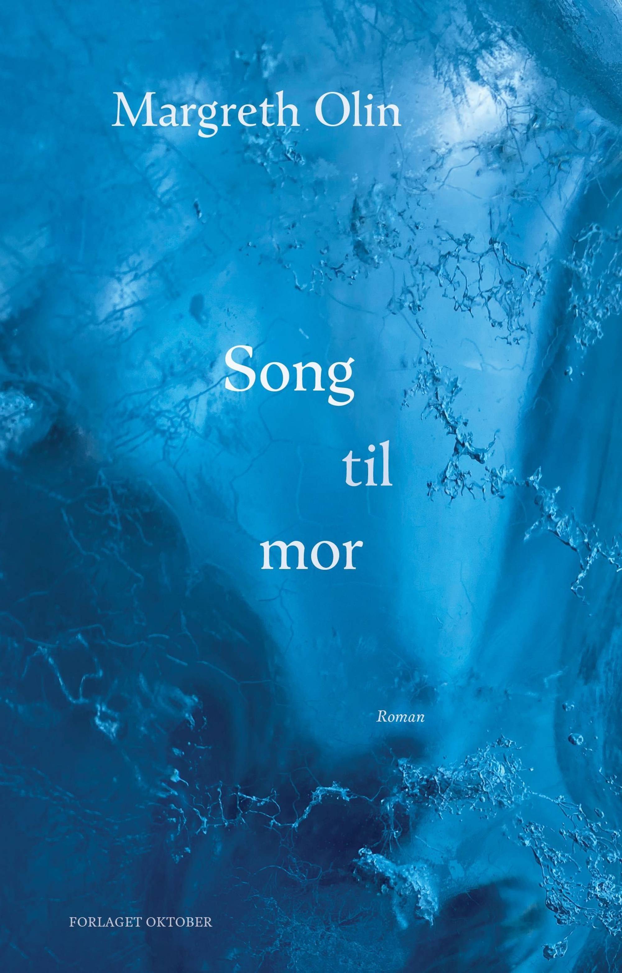 Anmeldelse: «Song til mor» av Margreth Olin – Anmeldelser og anbefalinger