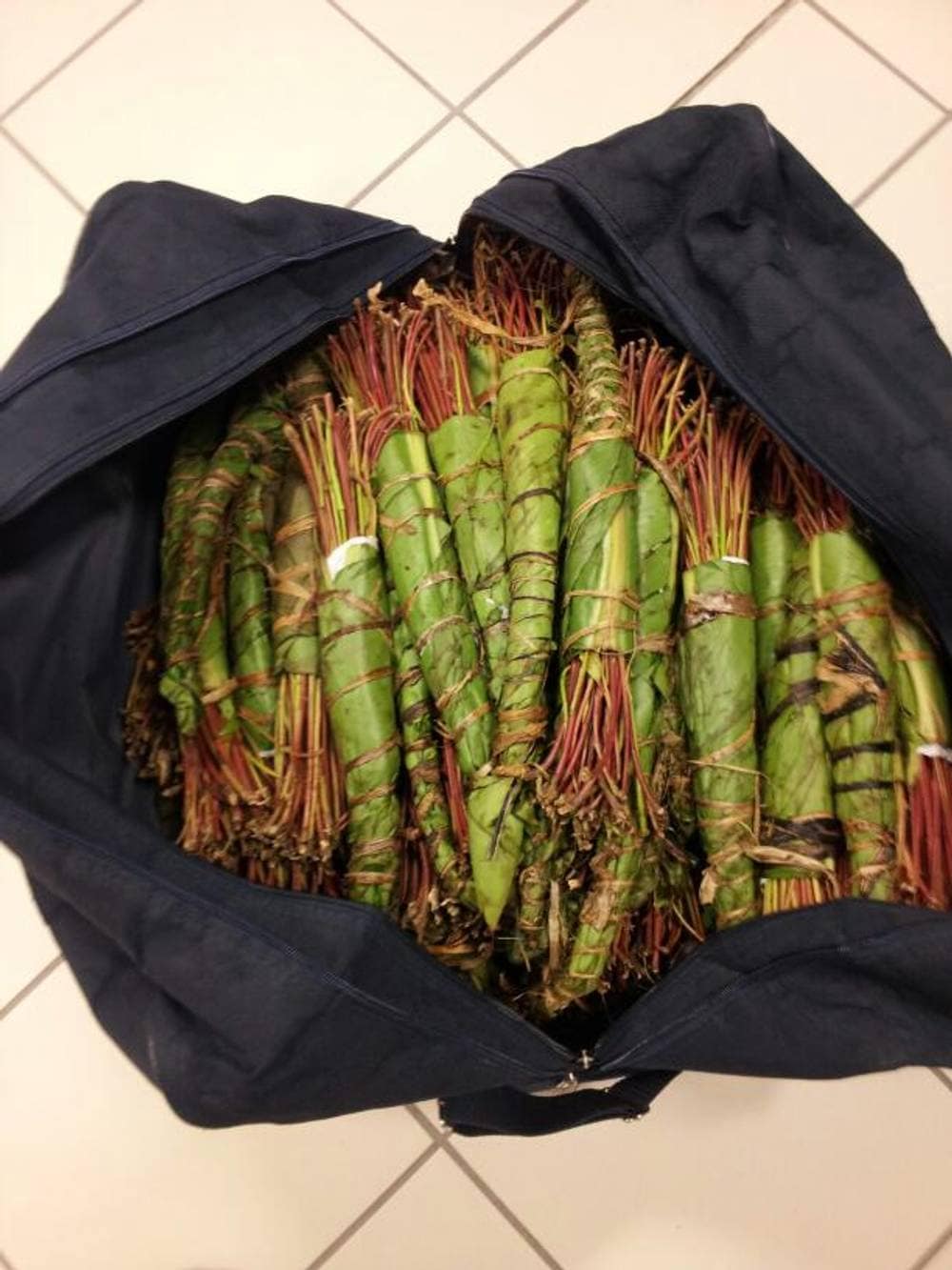 Khat er et folkehelseproblem – NRK Norge – Oversikt over nyheter fra ...