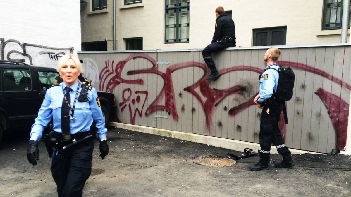 Politiaksjon på Grønland i Oslo – Stor-Oslo