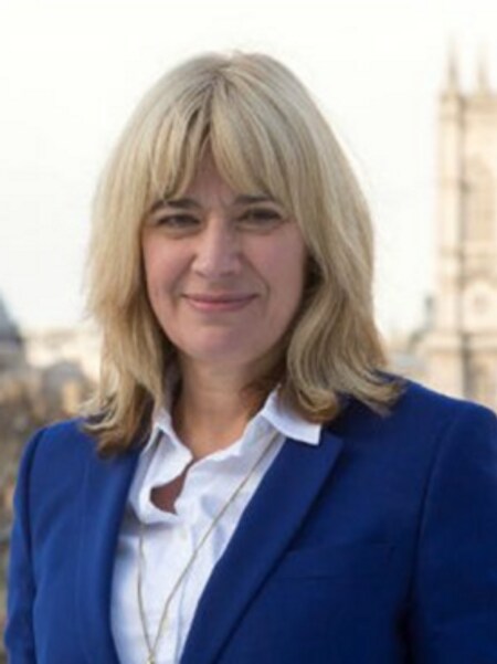 Veterinærer frykter sviknott kan gi nytt, dødelig utbrudd av blåtunge i ...