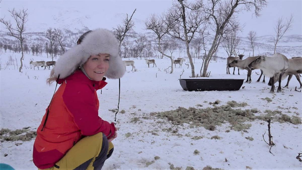 Ráđđehus addá vel lasi 30 miljovnna boazodili guohtonrossui – NRK Sápmi ...