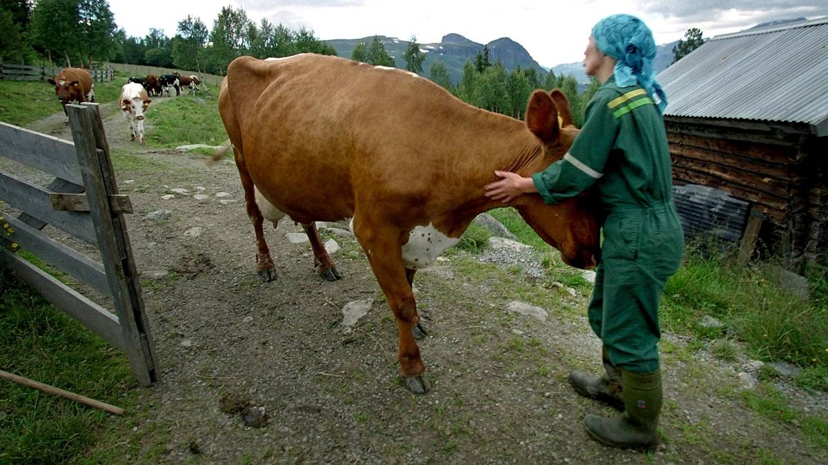 Vil ha flere kvinner i landbruket – NRK Østfold – Lokale nyheter, TV og radio