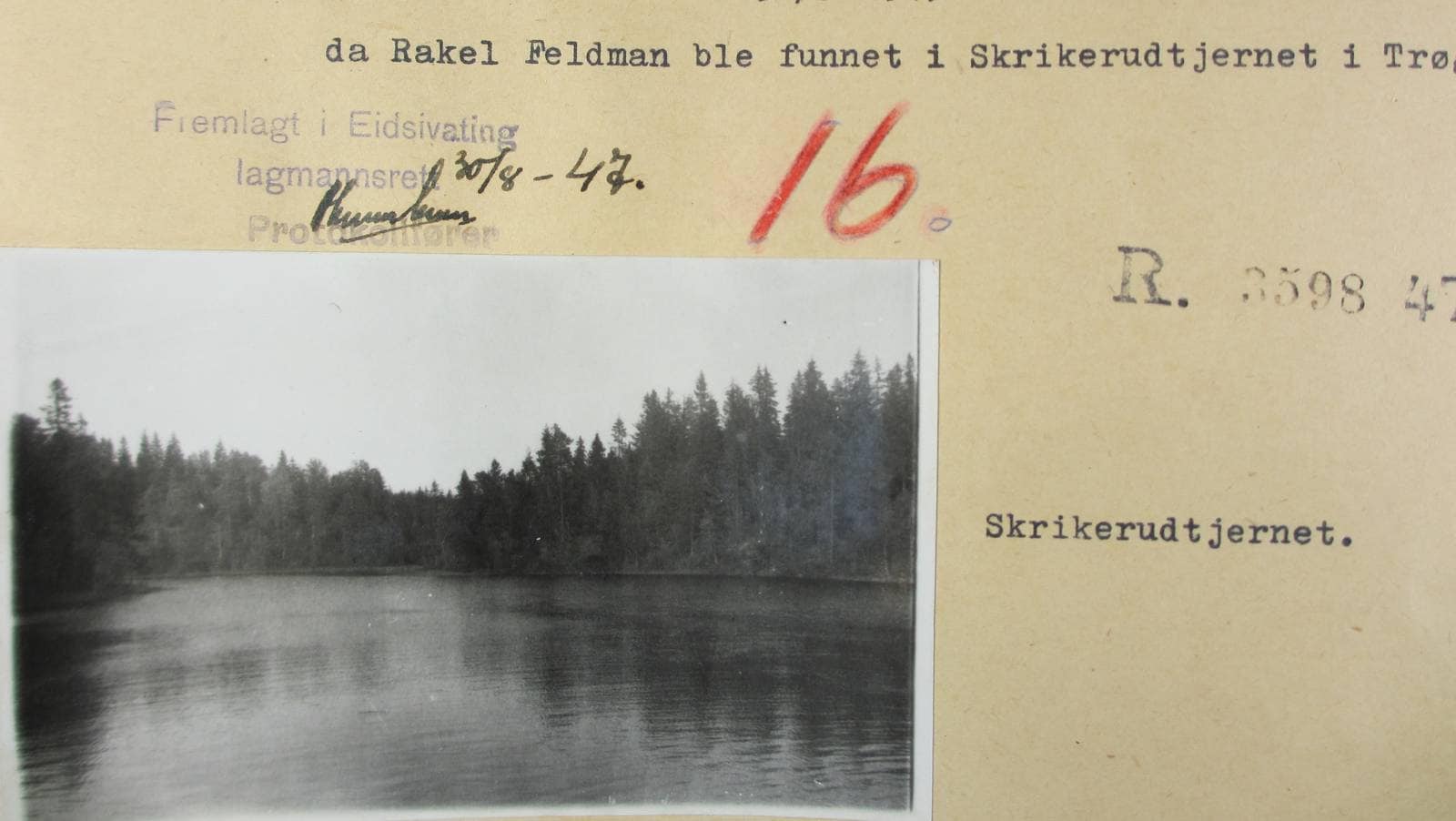 Ekteparet Feldmann drept av grenselos – Østfold