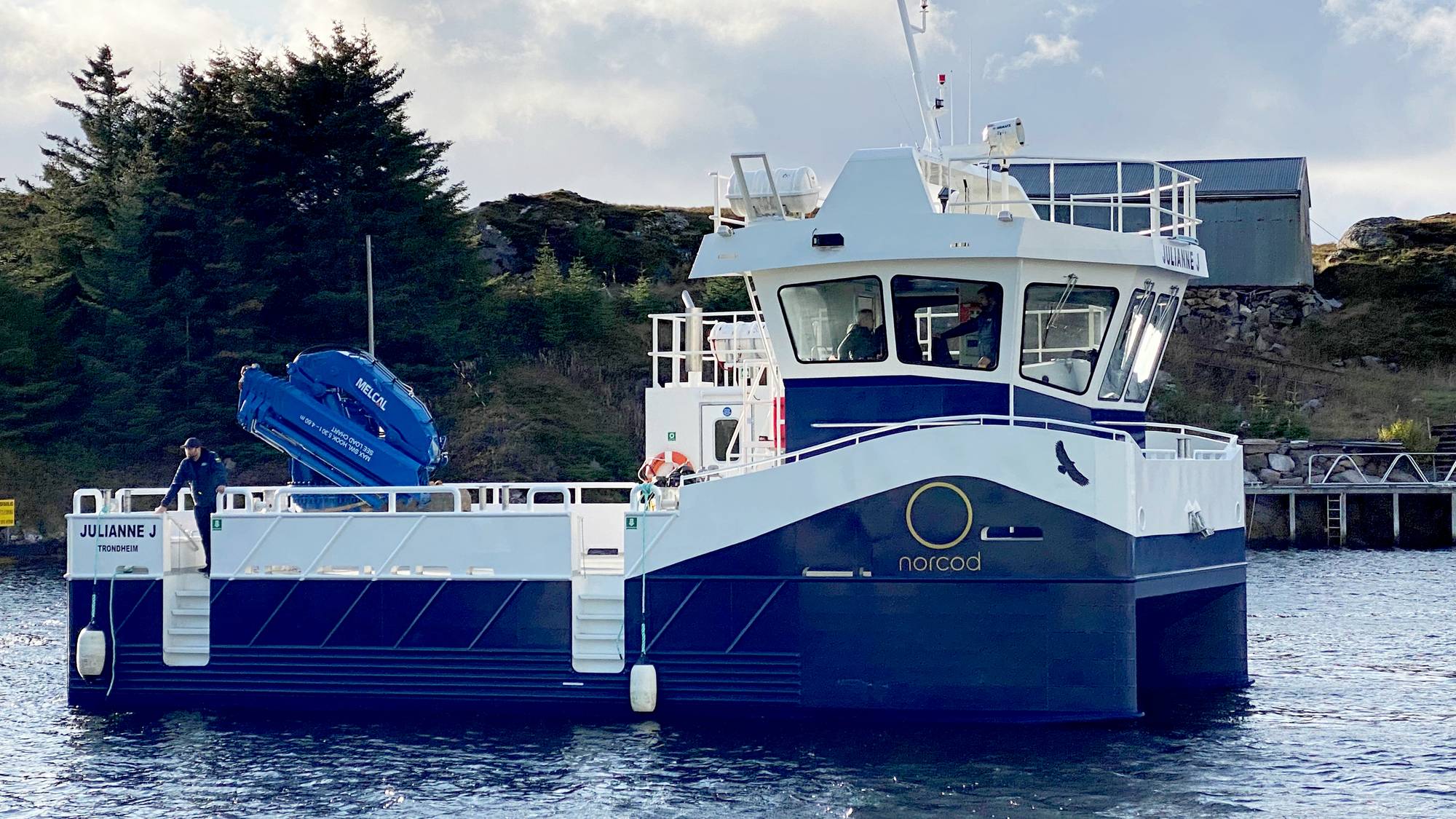 Norcod vil markedsføre oppdrettstorsk som «hvit laks» – NRK Nordland