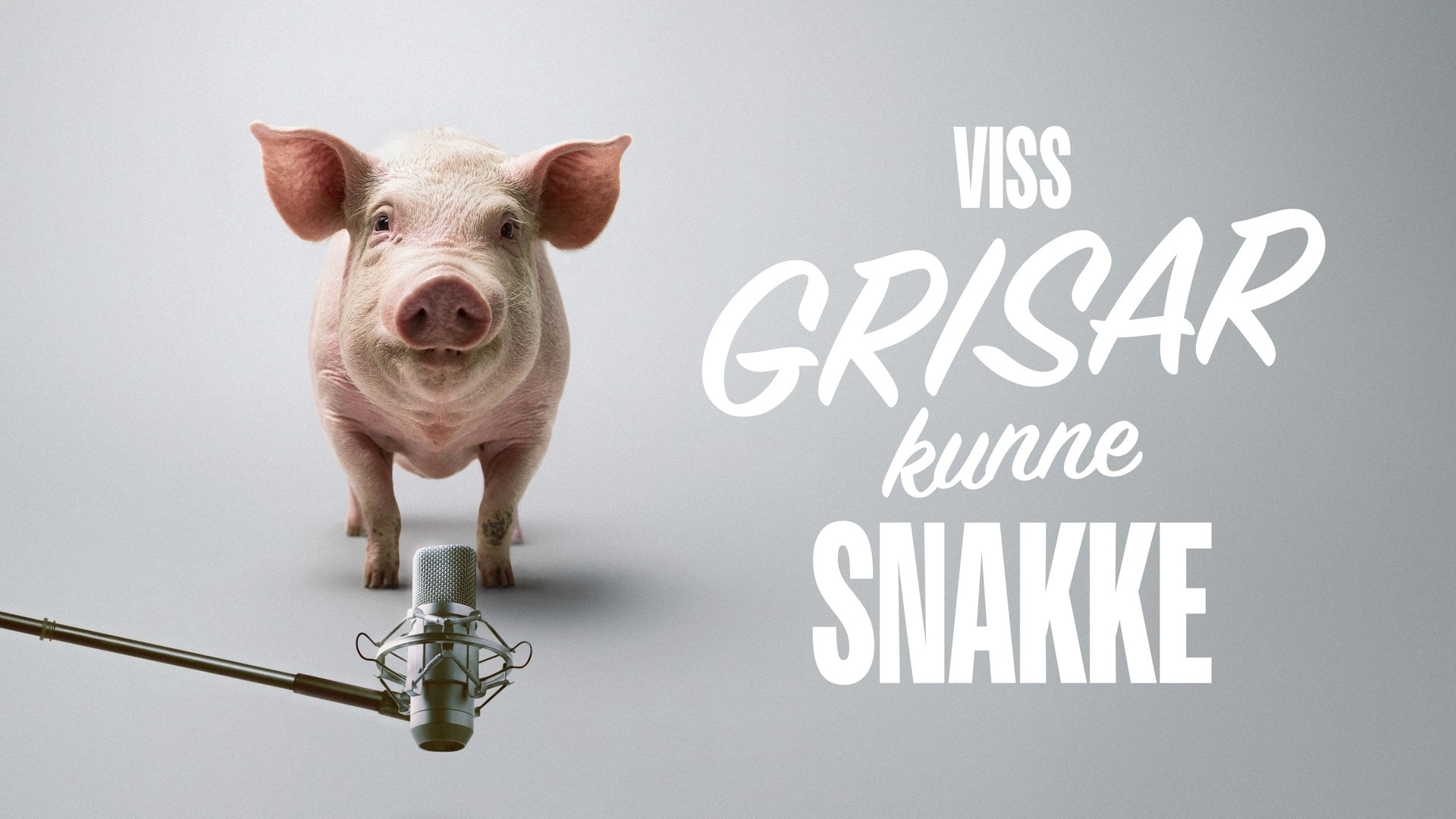 Inga Strümke – KI på liv og død - NRK TV