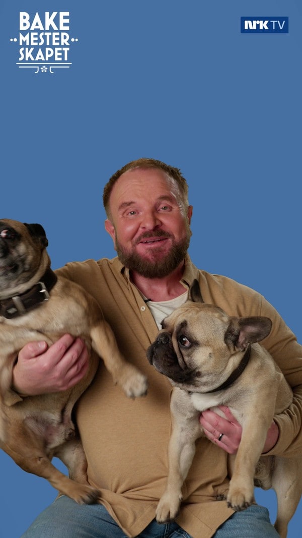 Vil du være deltaker i NRK TV-serien «Bakemesterskapet»? Her er påmeldingsskjema – NRK – Deltaker
