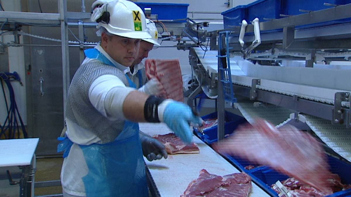 Dumper norsk svinekjøtt i Ukraina – NRK Norge – Oversikt over nyheter ...