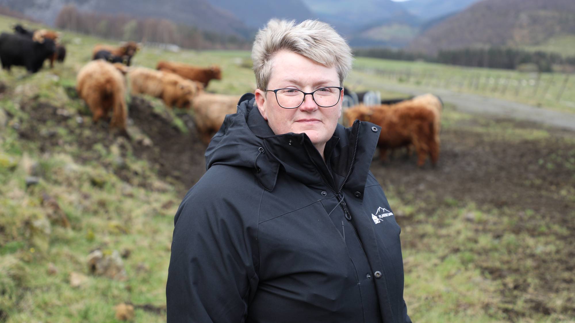 Slutter å slakte skotsk høylandsfe – kaller dyrene «potensielle ...