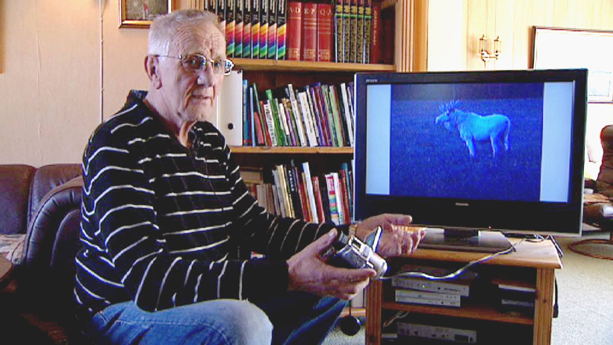 Gravøl for den hvite elgen Albin – NRK Østfold – Lokale nyheter, TV og radio