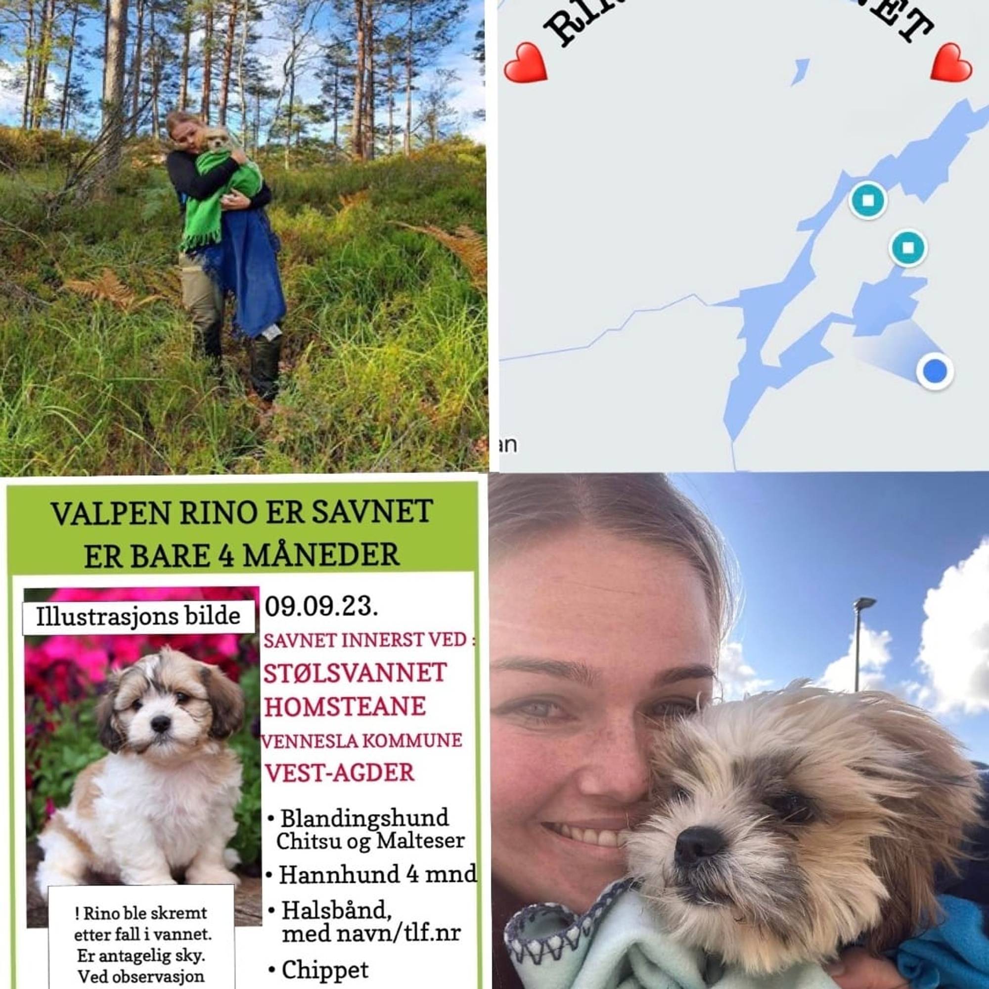 Valpen Rino overlevde alene i skogen i to uker – NRK Sørlandet – Lokale nyheter, TV og radio