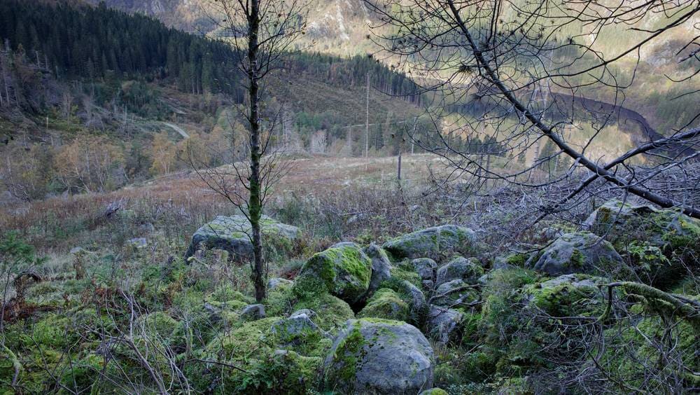 The Isdalen mystery – Dokumentar