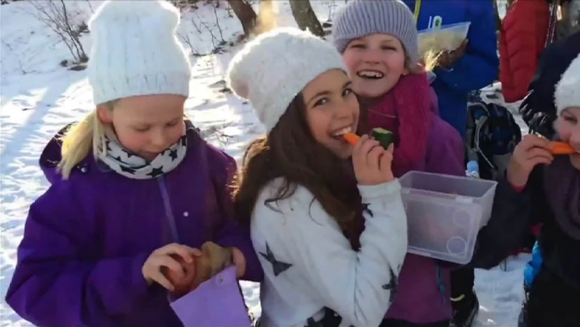 "Sunn mat-rap" – NRK