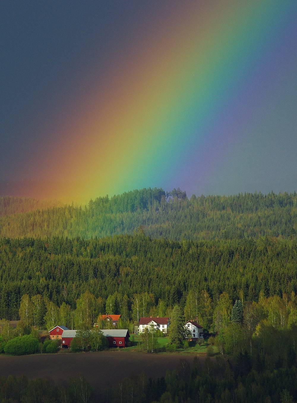 Hvorfor er det to regnbuer? – Yr