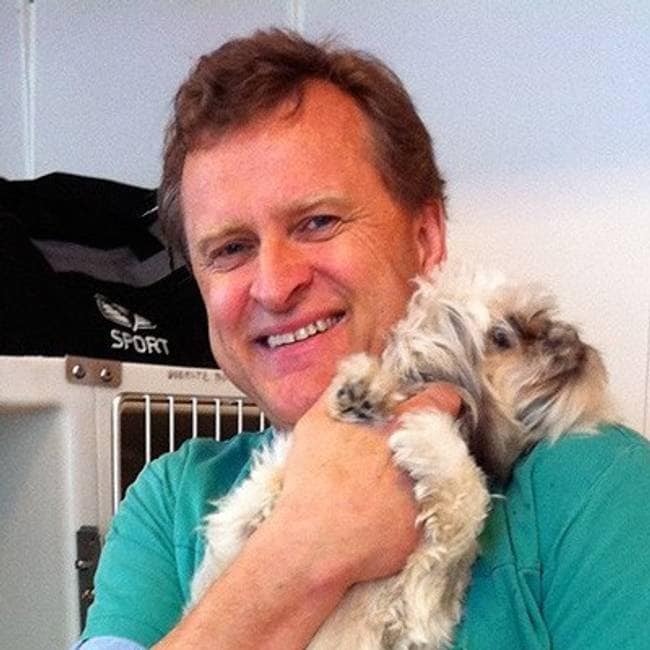 Råd til katteigarar i ferien – NRK Møre og Romsdal – Lokale nyheter, TV ...